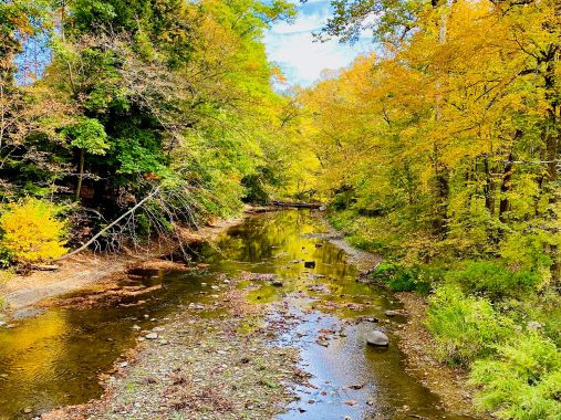 The Best Places to Enjoy Fall Foliage in Erie County - VisitErie