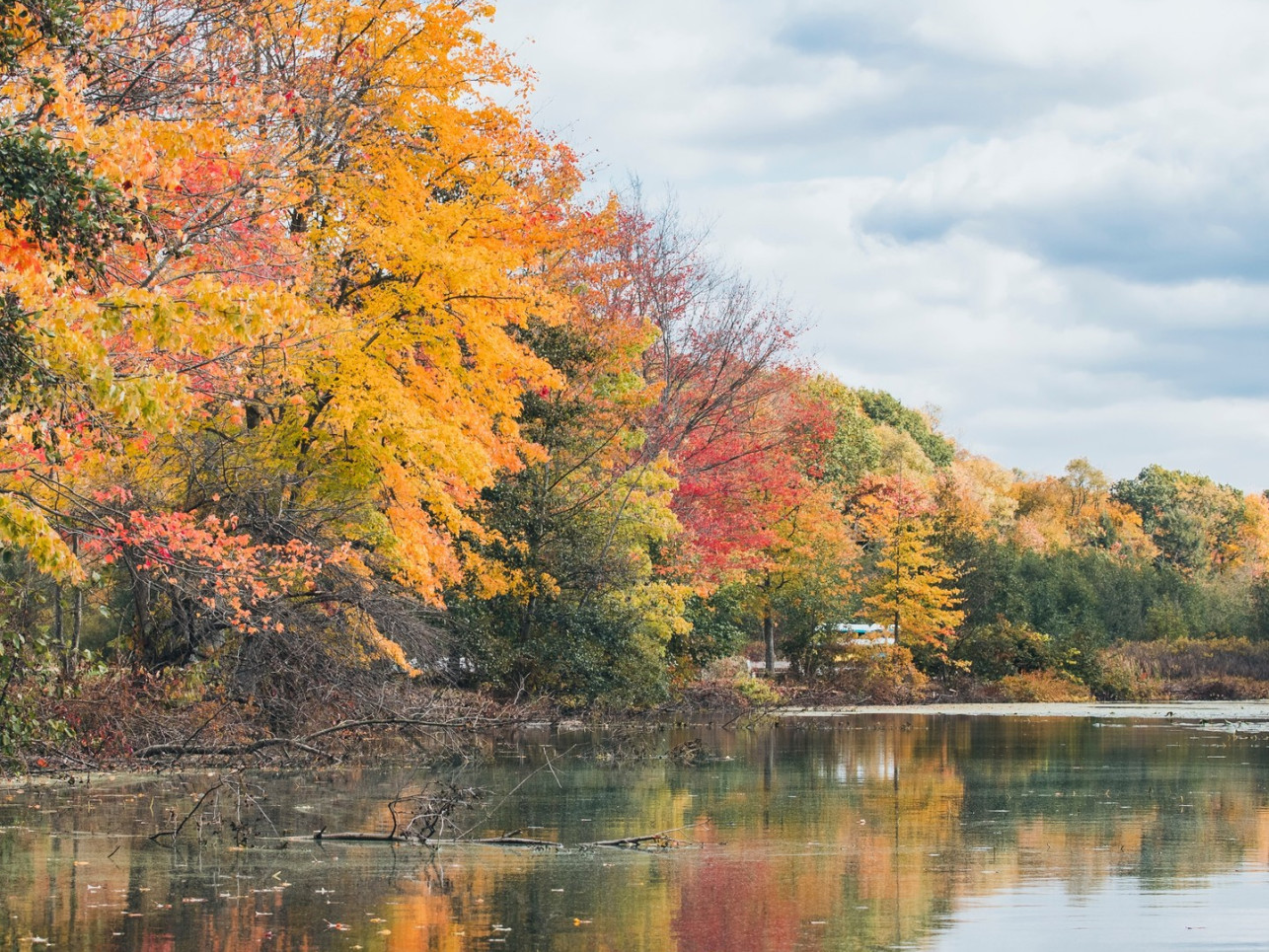 The Best Places to Enjoy Fall Foliage in Erie County - VisitErie