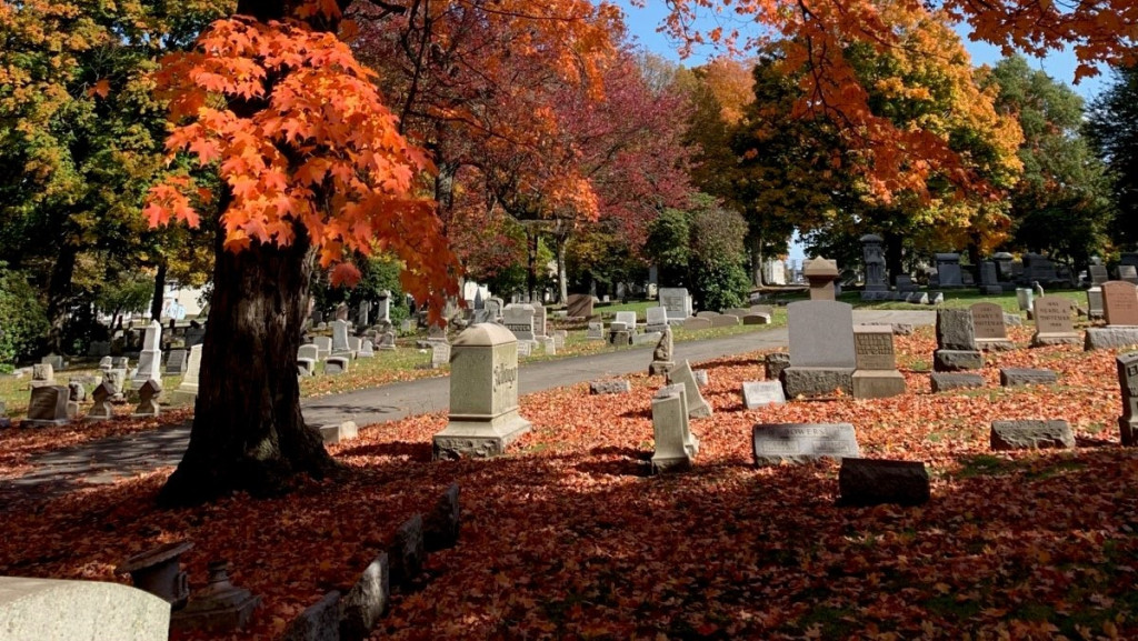 The Best Places to Enjoy Fall Foliage in Erie County - VisitErie