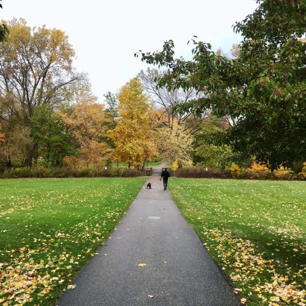 The Best Places to Enjoy Fall Foliage in Erie County - VisitErie