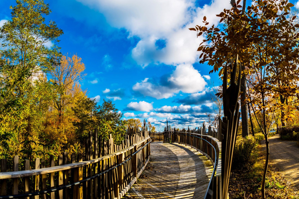 The Best Places to Enjoy Fall Foliage in Erie County - VisitErie