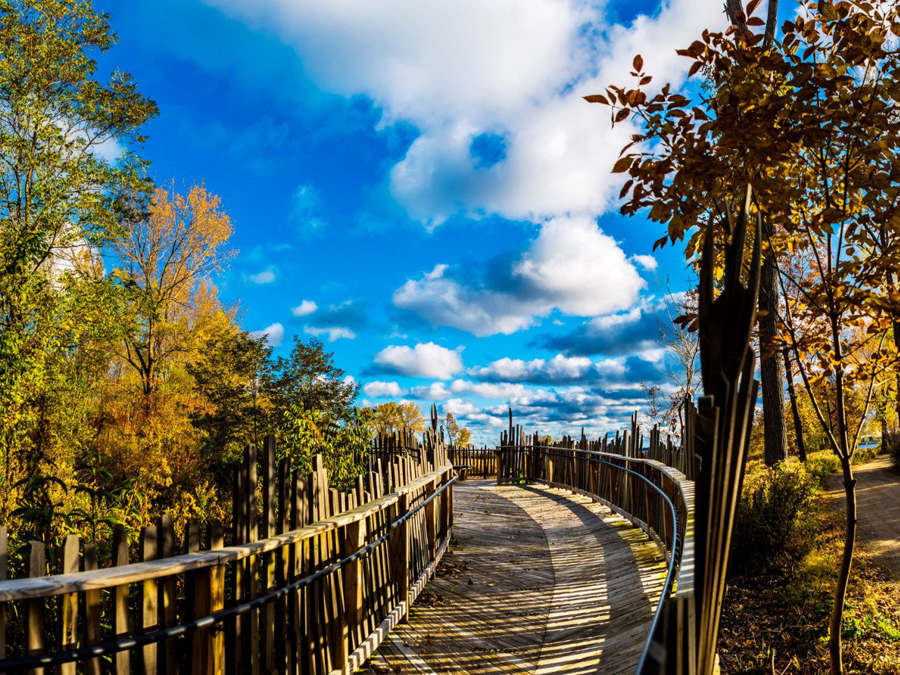 The Best Places to Enjoy Fall Foliage in Erie County - VisitErie