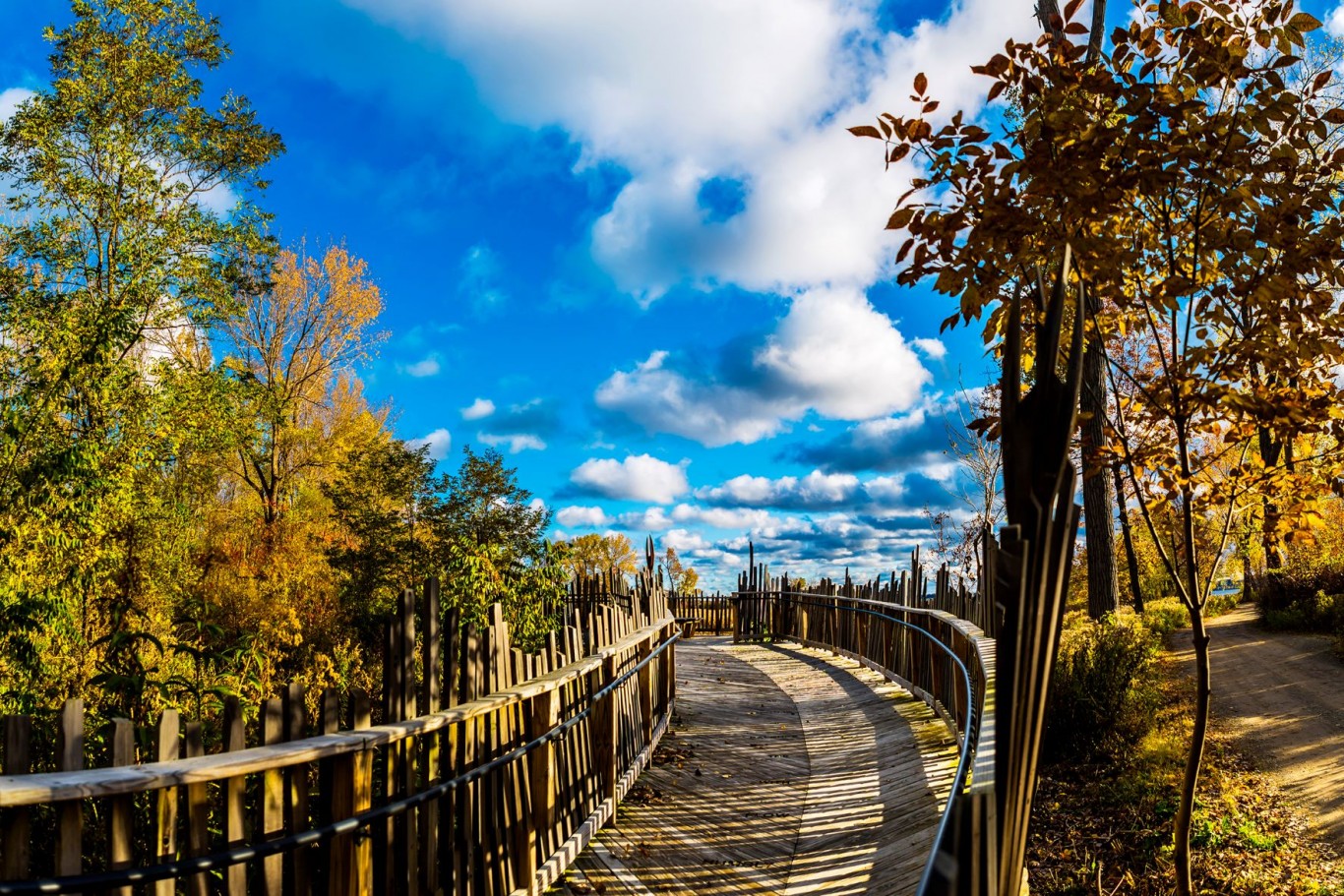 The Best Places to Enjoy Fall Foliage in Erie County - VisitErie