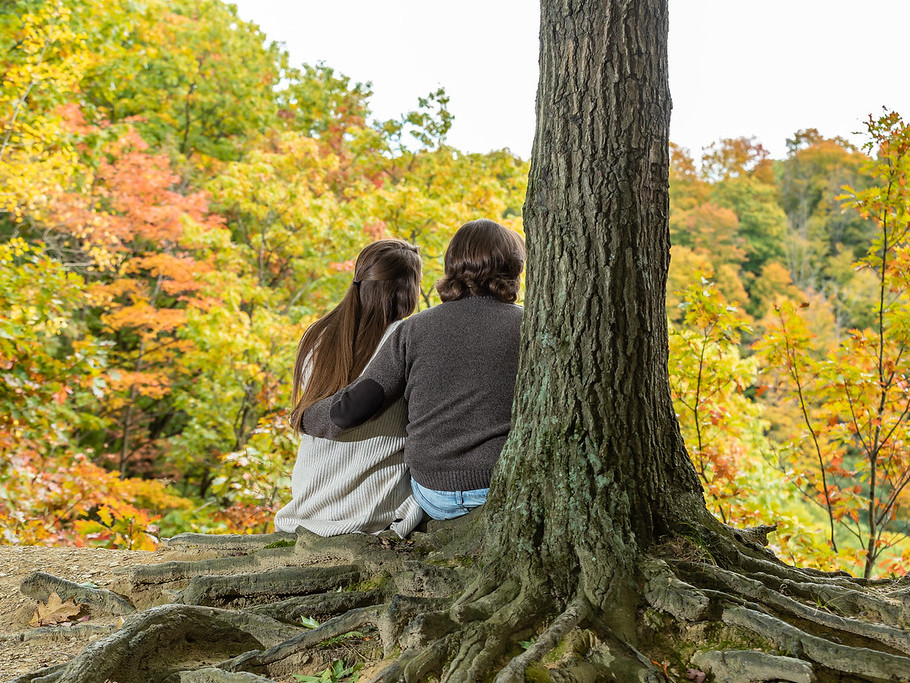 The Best Places to Enjoy Fall Foliage in Erie County - VisitErie