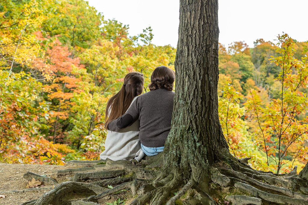 The Best Places to Enjoy Fall Foliage in Erie County - VisitErie