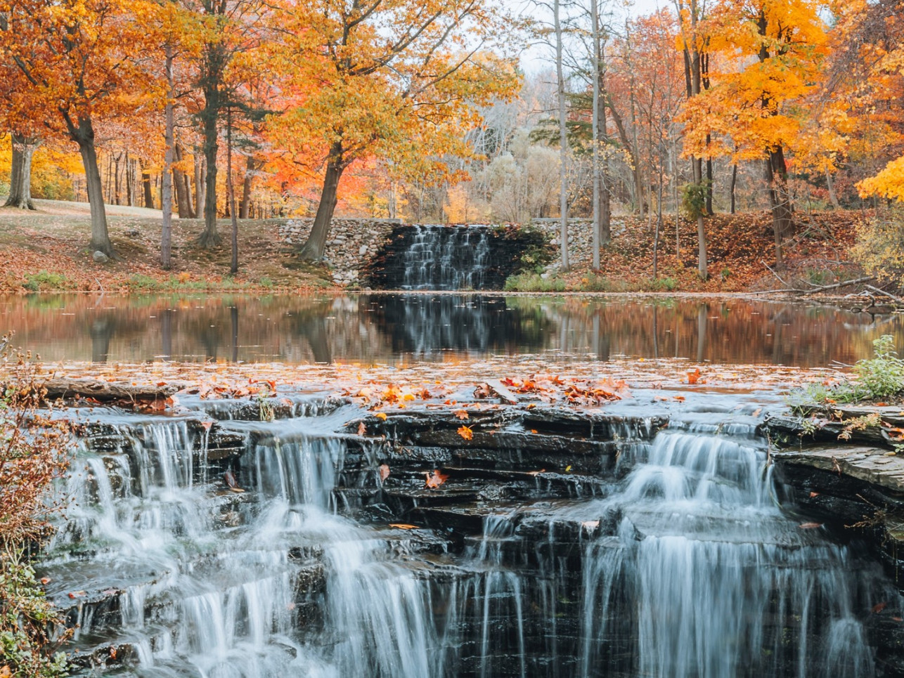 The Best Places to Enjoy Fall Foliage in Erie County - VisitErie